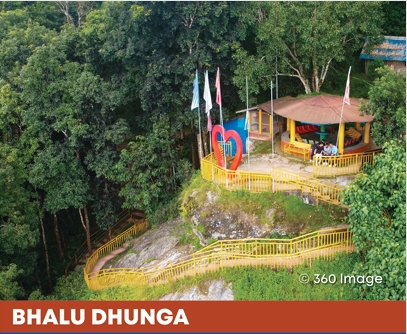 GPD - Your Gateway to Nepal's Tea Paradise