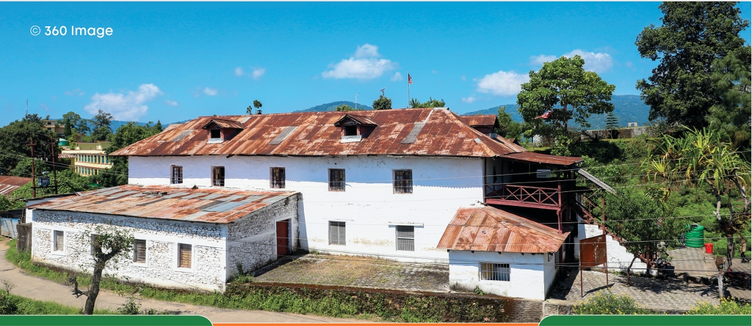 GPD - Your Gateway to Nepal's Tea Paradise