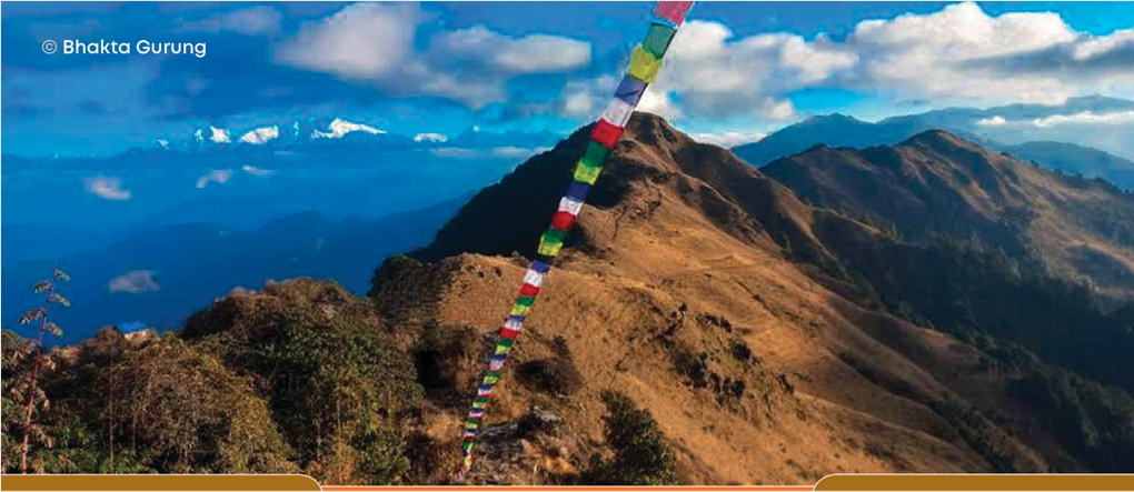 GPD - Your Gateway to Nepal's Tea Paradise